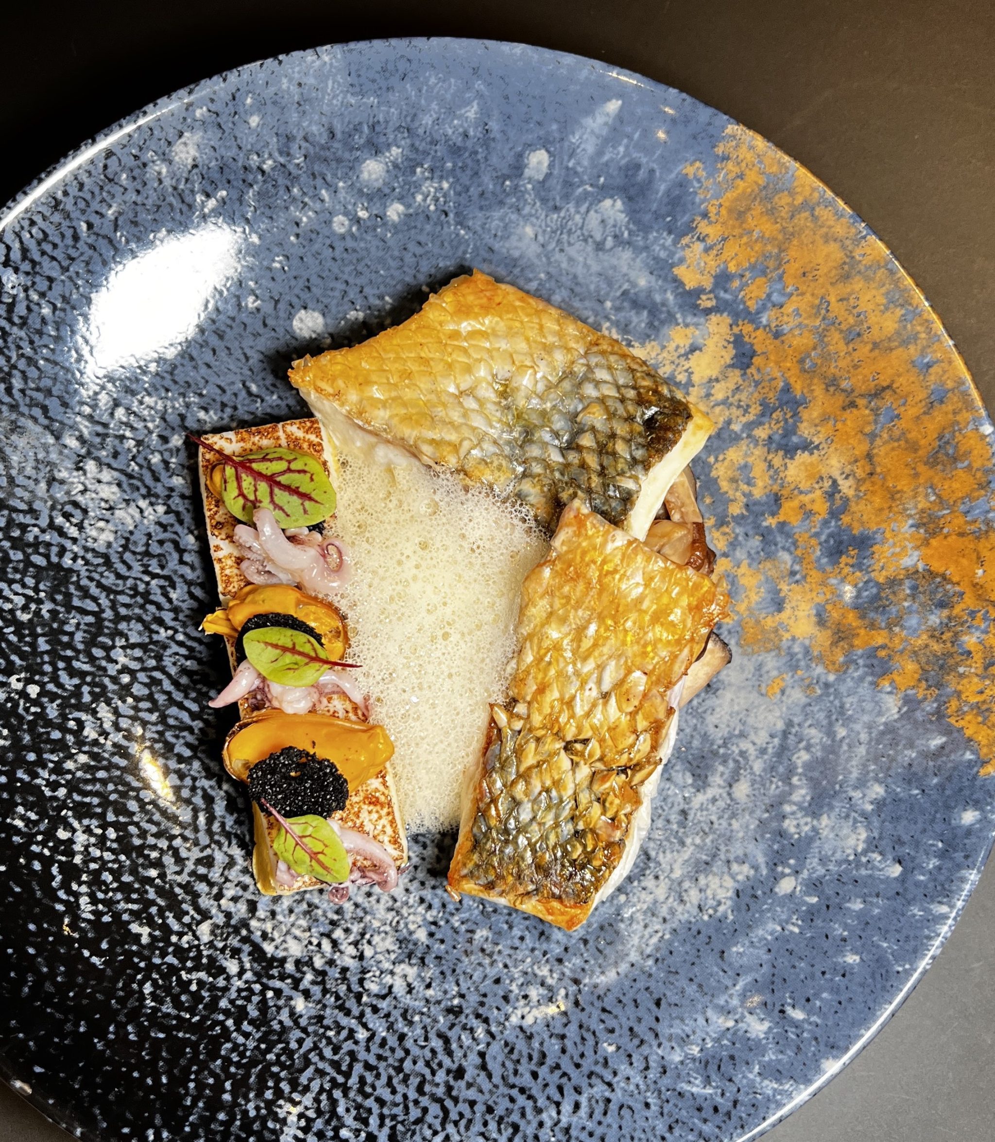Filet de bar en écailles soufflées, lentin de chênes, calamar et royale ...